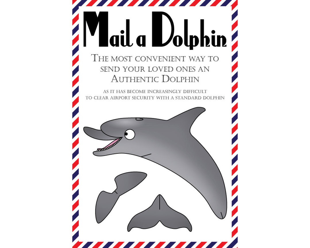 Dolphin Postcards, Set of 8 "mail a Dolphin" Postcards - Etsy