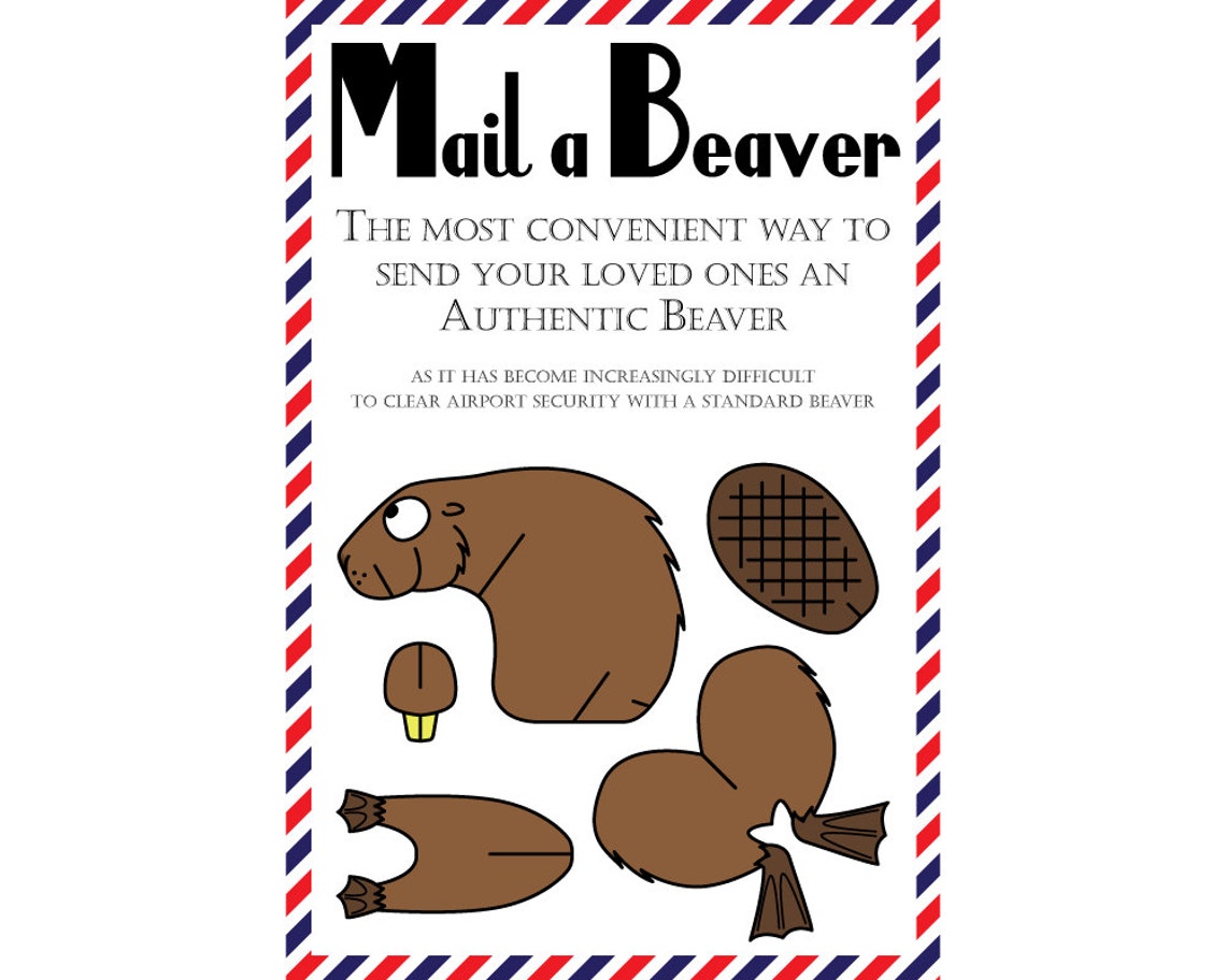 Beaver Postcards, Set of 8 "mail a Beaver" Postcards - Etsy