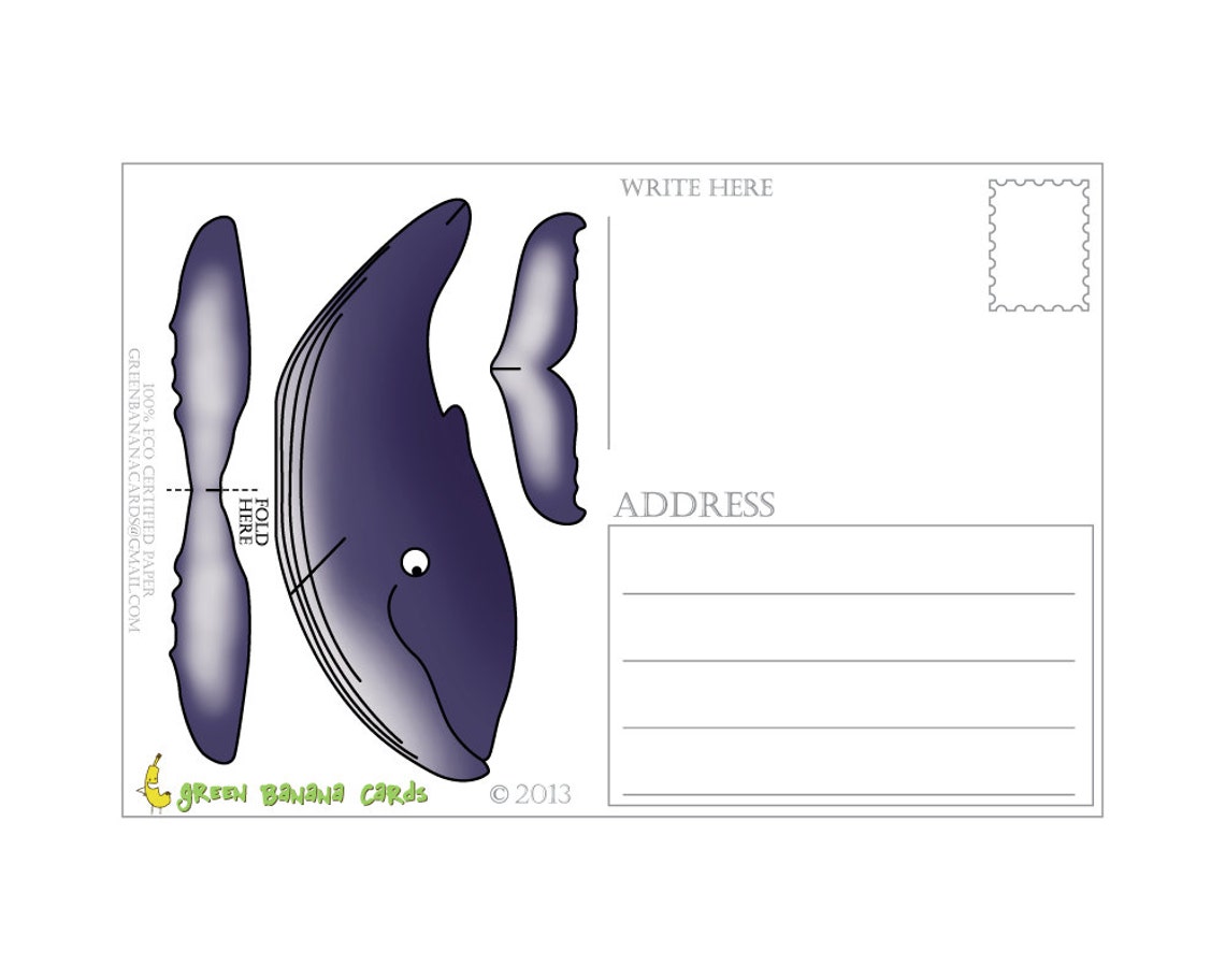 Whale Postcard, Set of 8 "mail a Whale" (humpback Whale) Postcards - Etsy