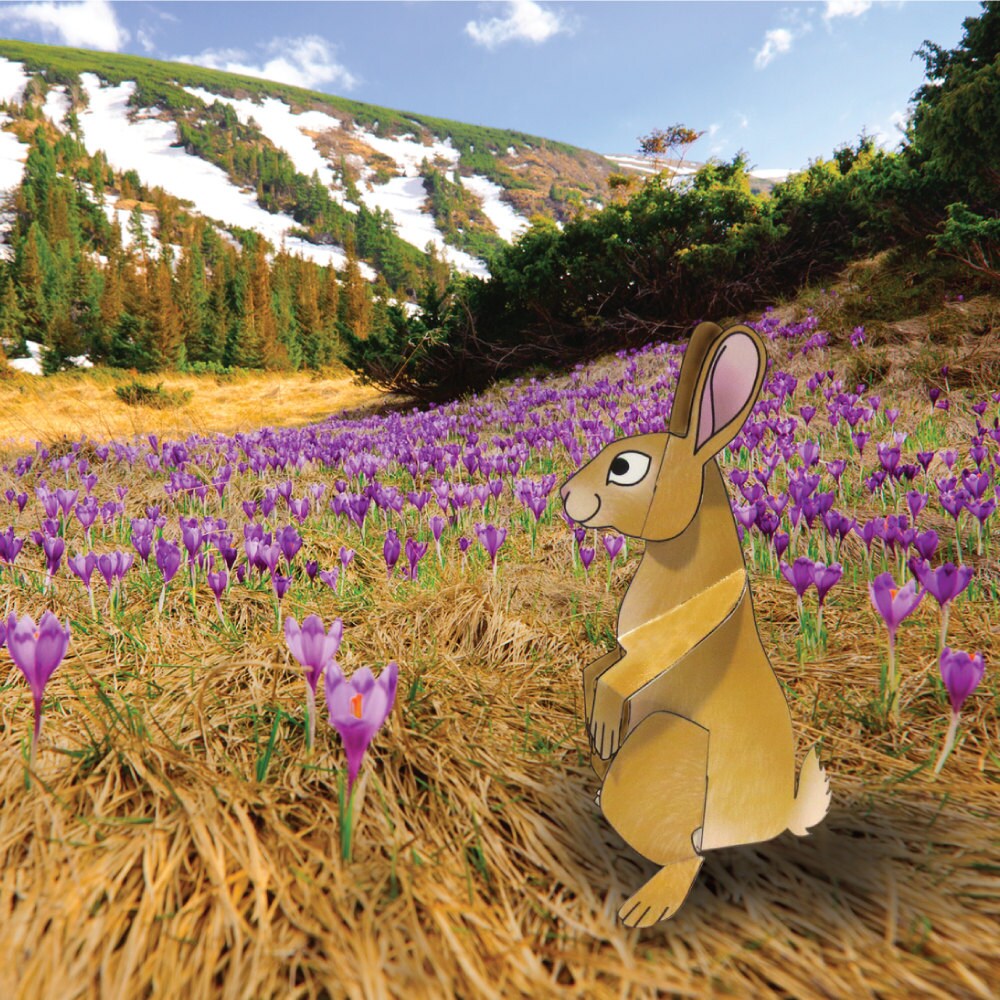 Bunny Postcard, Set of 8 "mail a Bunny" Postcards - Etsy Canada