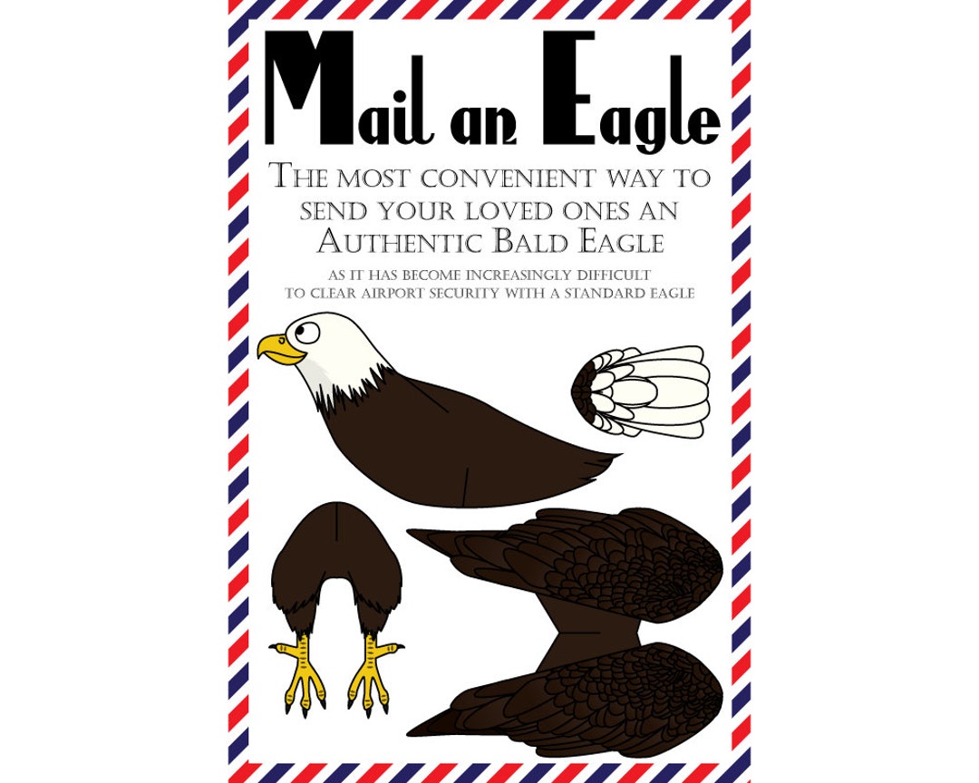 Eagle Postcards, Set of 8 "mail an Eagle" Postcards - Etsy