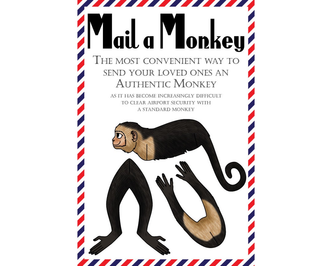 Monkey Postcard, Set of 8 "mail a Monkey" Postcards - Etsy