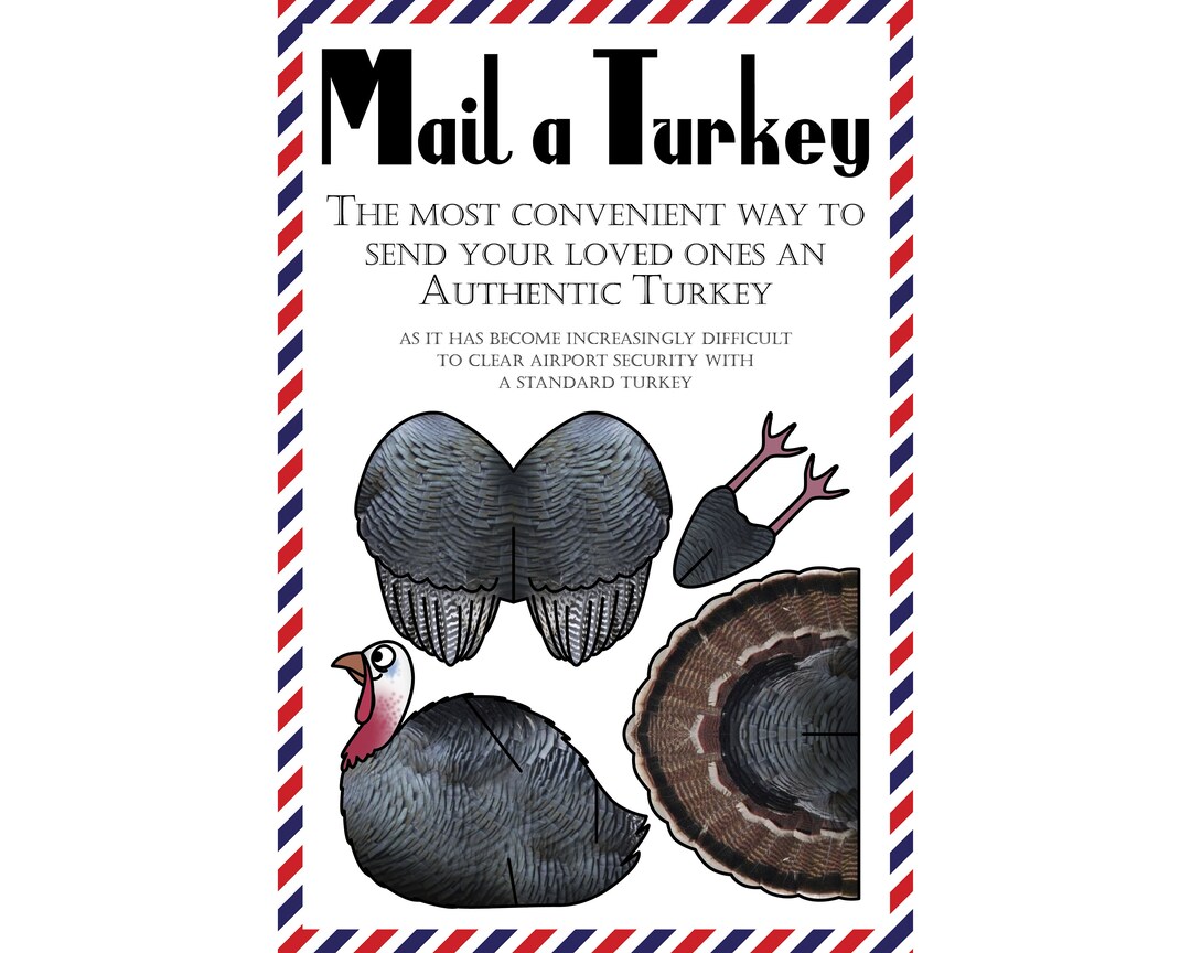 Turkey Postcards, Set of 8 "mail a Turkey" Postcards - Etsy