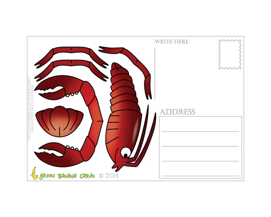 Lobster Postcards, Set of 8 "mail a Lobster" Postcards - Etsy