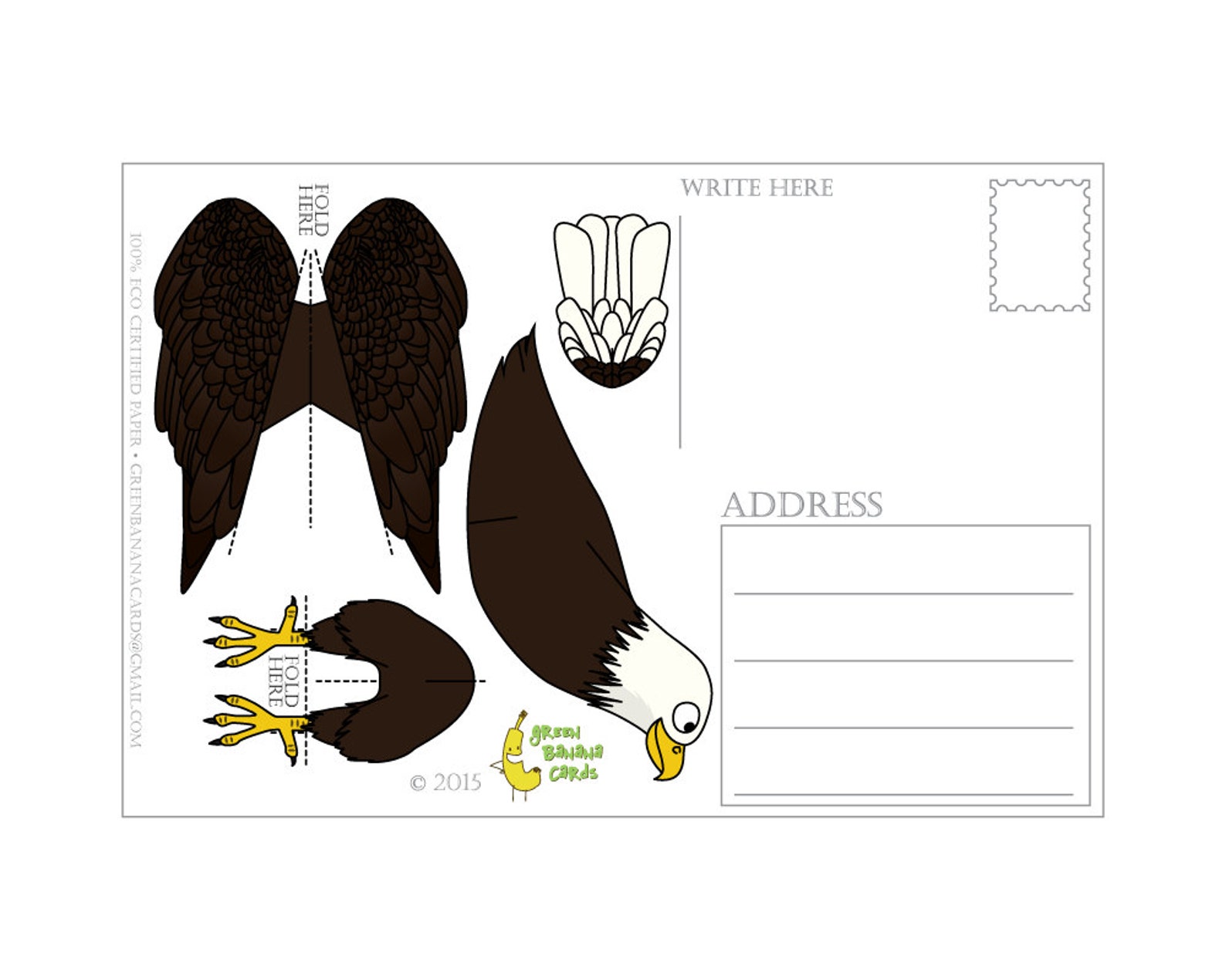 Eagle Postcards Set of 8 mail an Eagle Postcards - Etsy