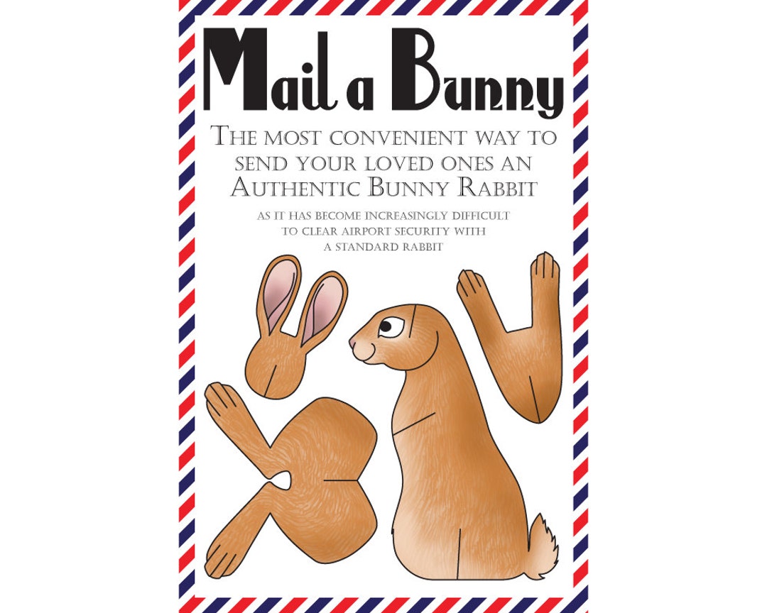 Bunny Postcard, Set of 8 "mail a Bunny" Postcards - Etsy