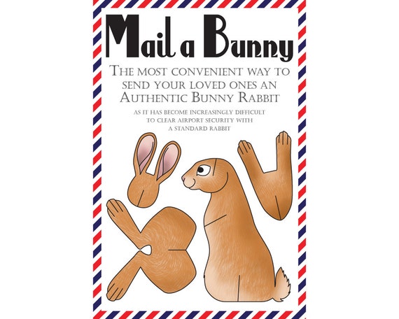 Bunny Postcard Set of 8 mail a Bunny Postcards | Etsy