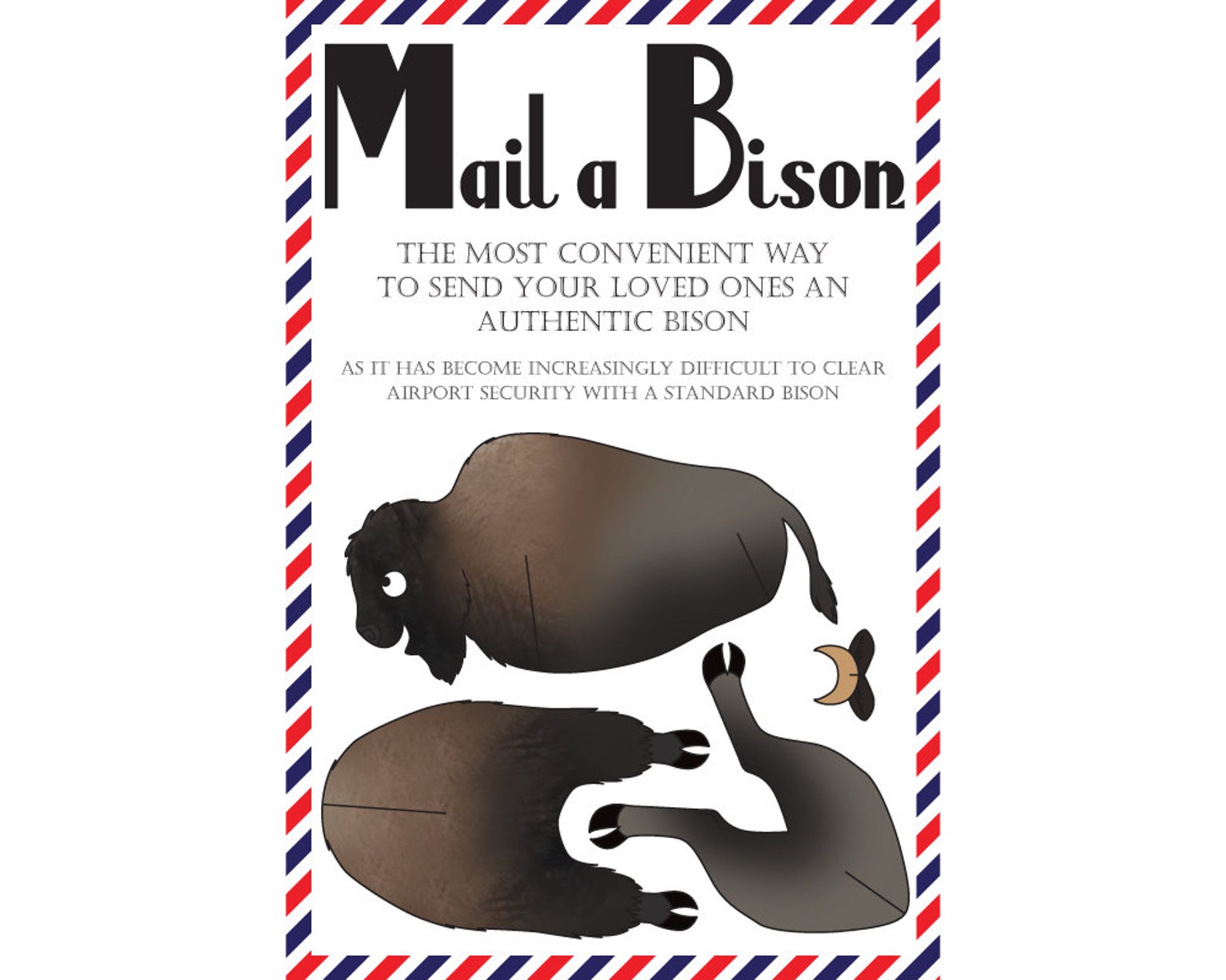 Bison Postcard Set of 8 mail a Bison Postcards | Etsy