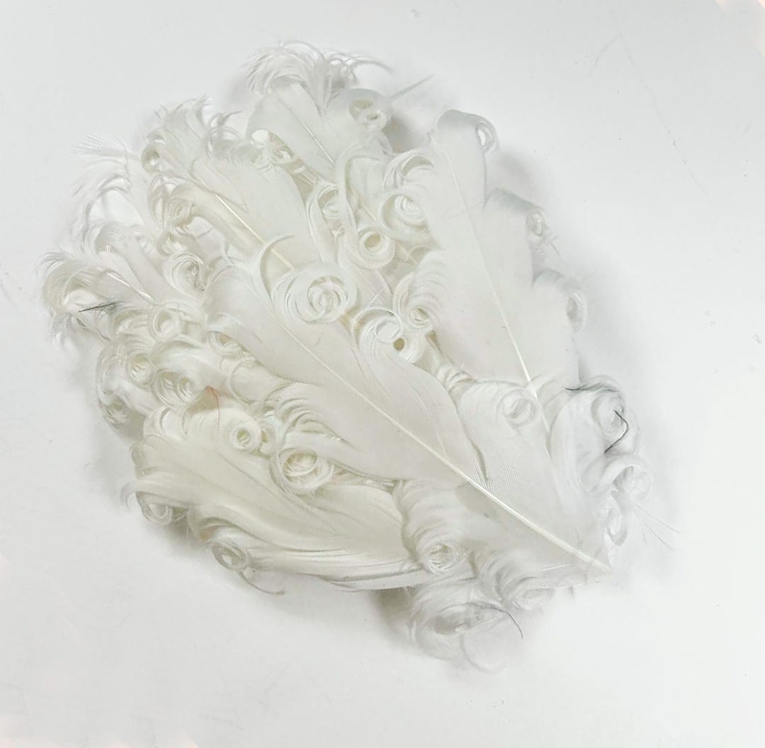 CLOSING SALE White Curly Feather Pads, Goose Feather Craft Supply for ...
