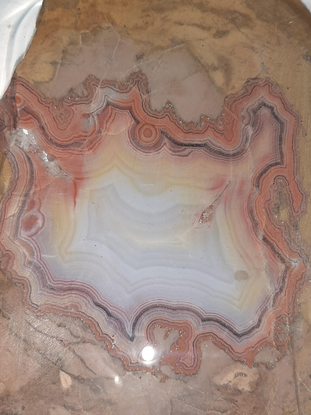 YUUGE Black Hills Agate Slab - White - Gold - Yellow - Red - Orange ...