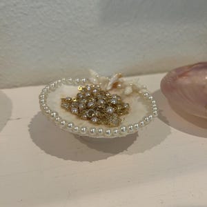 Pearl Shell Display - Etsy