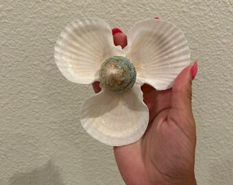 Custom Seashell Painting/jewelry Holder - Etsy