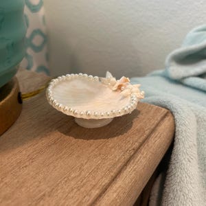 Pearl Shell Display - Etsy