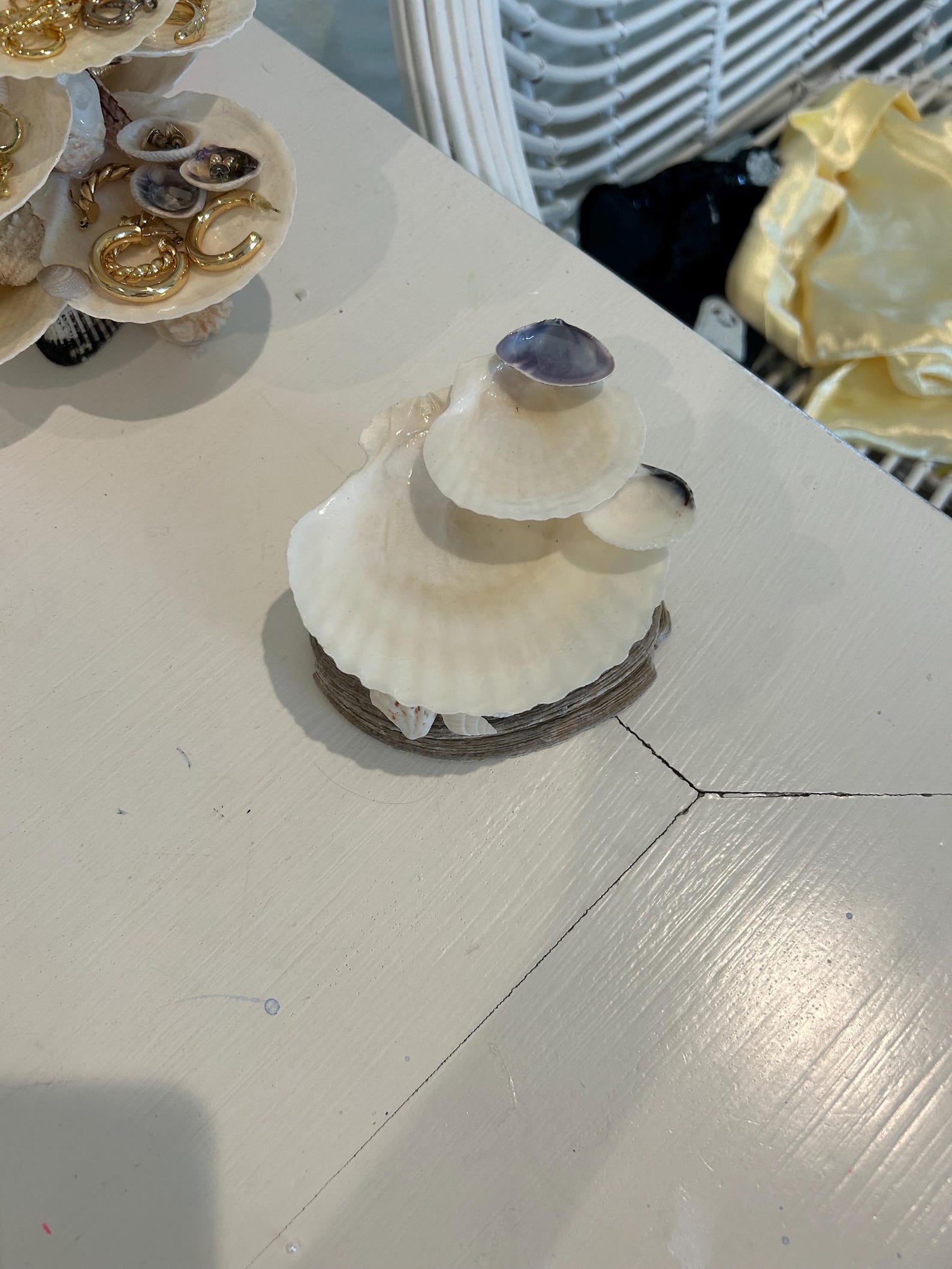 Shell Jewelry Display - Etsy