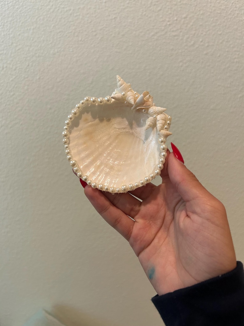Pearl Shell Display - Etsy