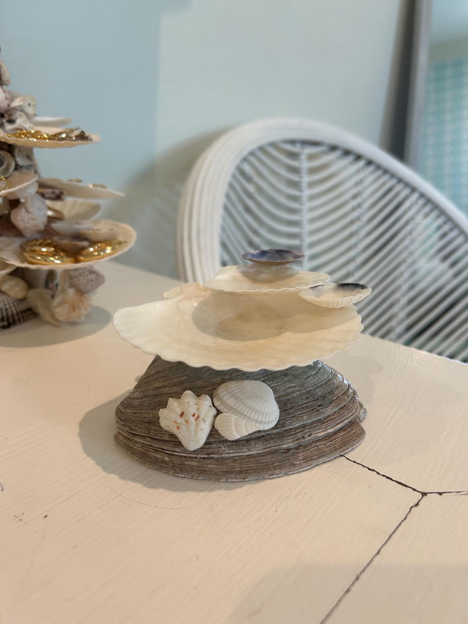 Shell Jewelry Display - Etsy