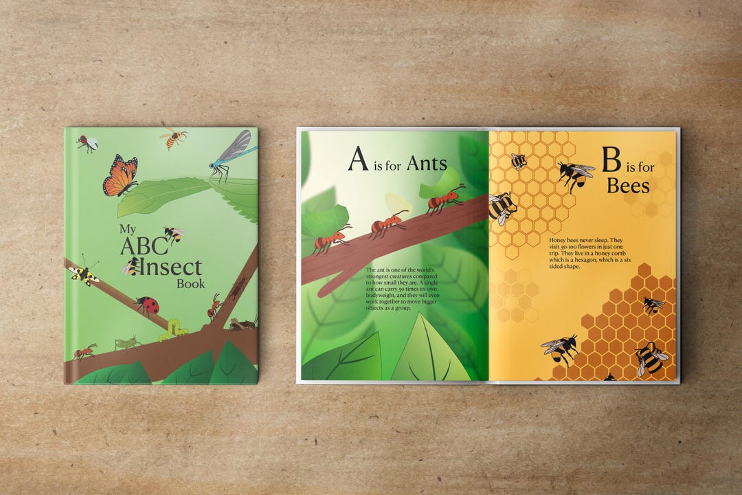 My ABC Insect Book, Children's Book, Learning Book, Abc's - Etsy