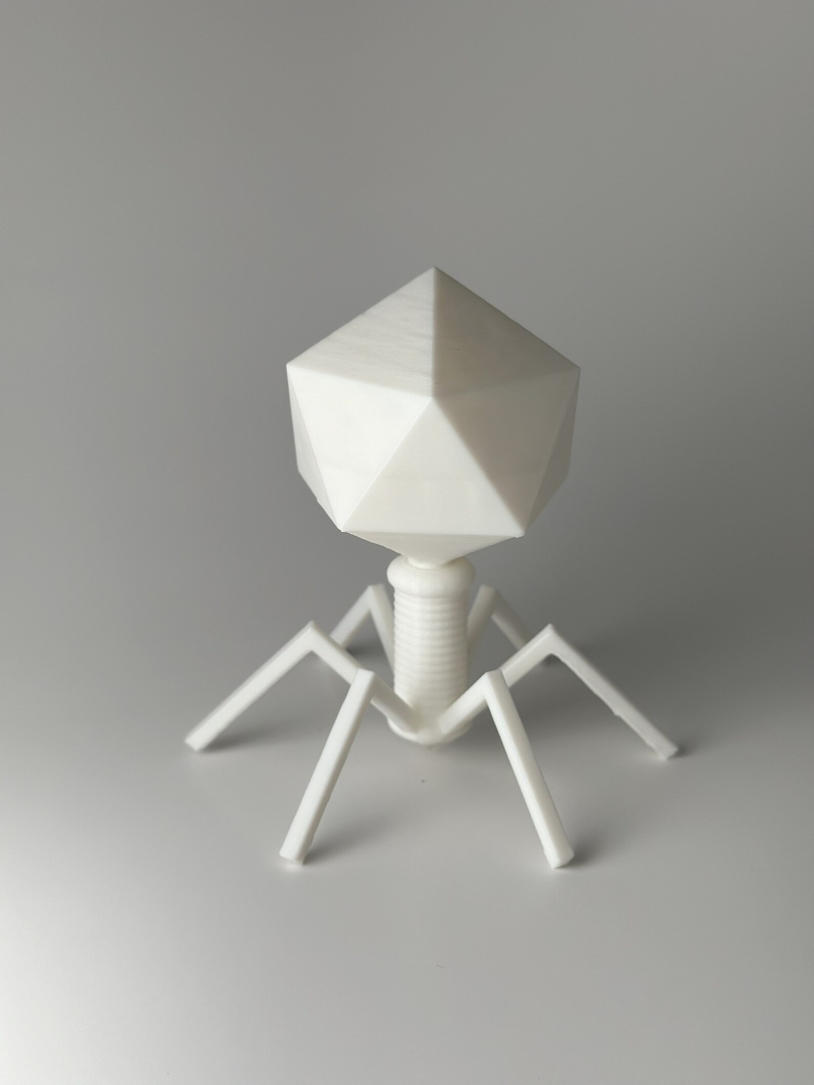 Virus Model, T4 Bacteriophage, Microbiology, Biology, Desktop Toy - Etsy