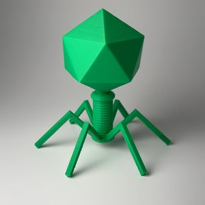 Virus Model, T4 Bacteriophage, Microbiology, Biology, Desktop Toy - Etsy