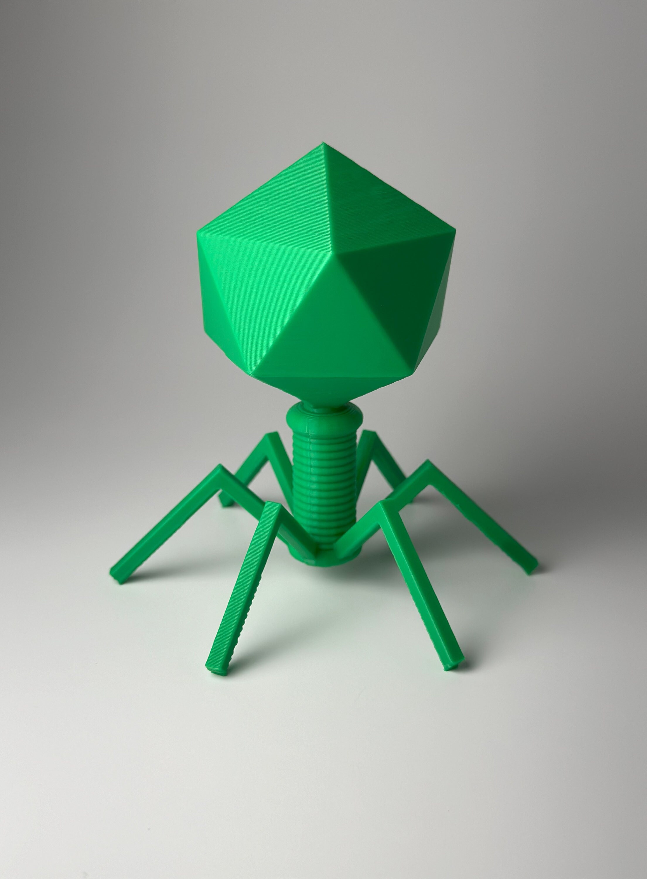 Virus Model, T4 Bacteriophage, Microbiology, Biology, Desktop Toy - Etsy