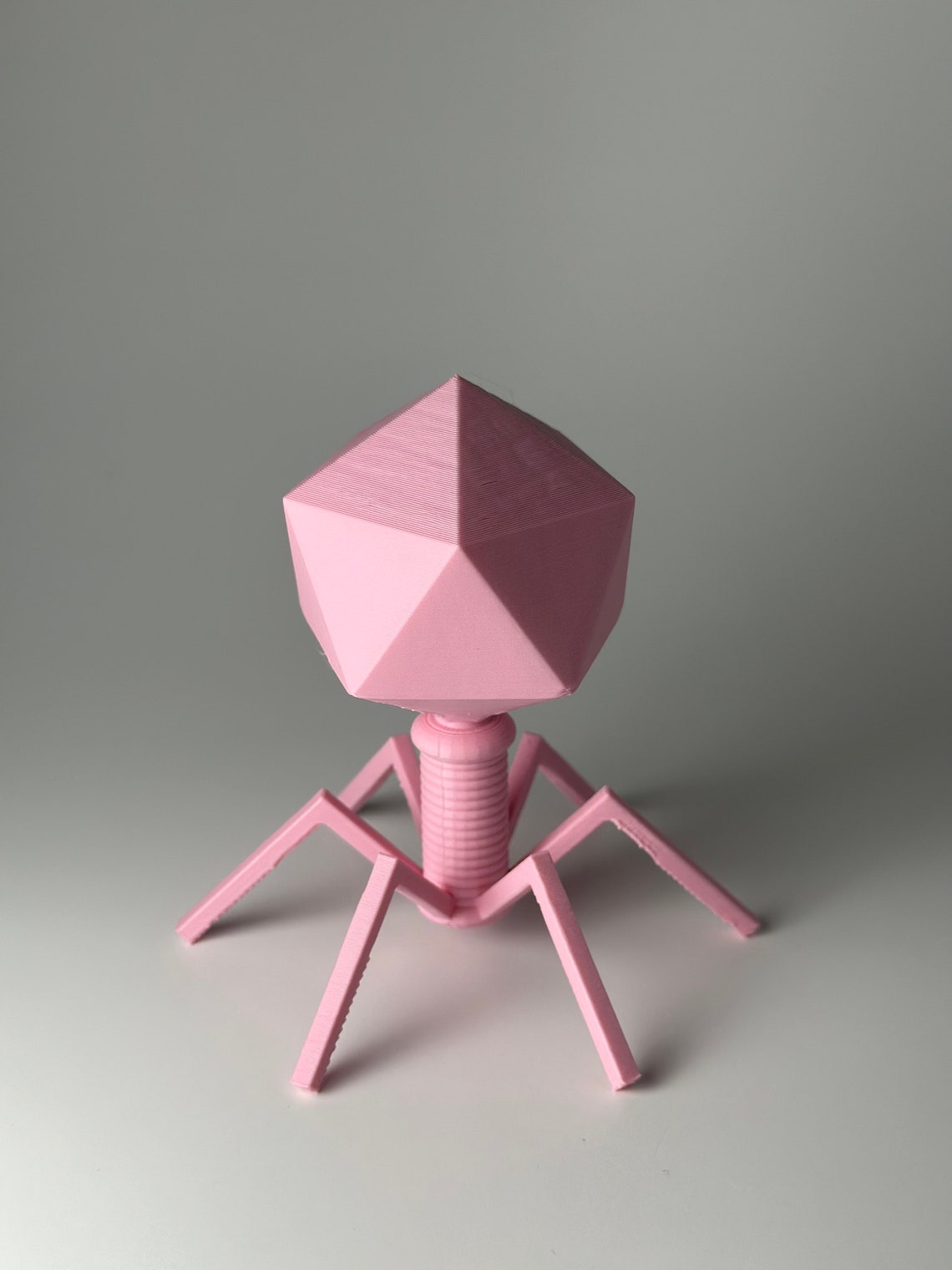 Virus Model, T4 Bacteriophage, Microbiology, Biology, Desktop Toy - Etsy
