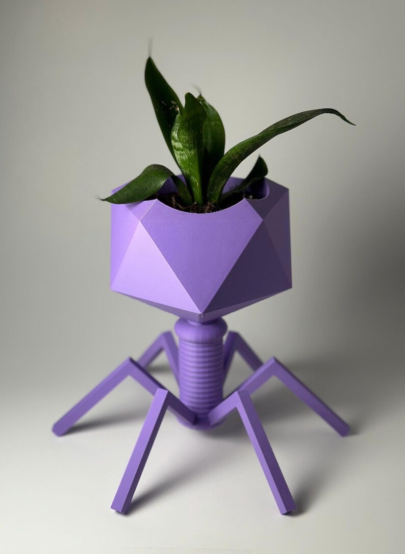 Virus Planter, T4 Bacteriophage, Microbiology, Biology - Etsy