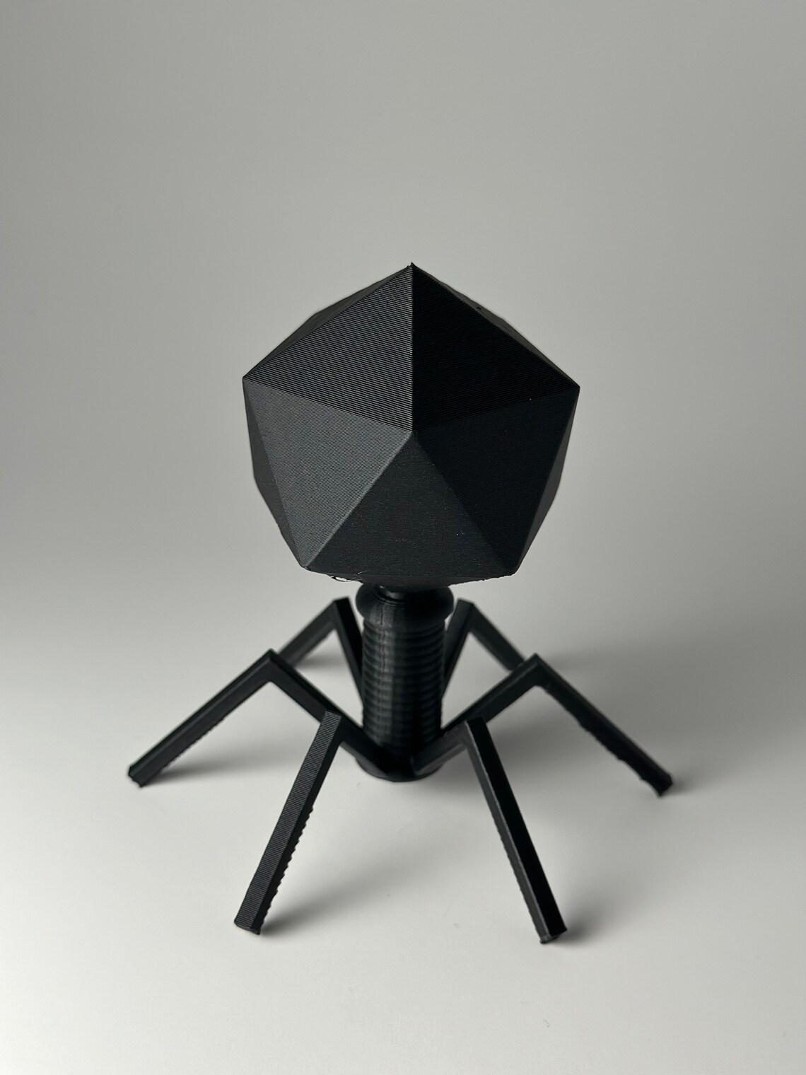 Virus Model, T4 Bacteriophage, Microbiology, Biology, Desktop Toy - Etsy