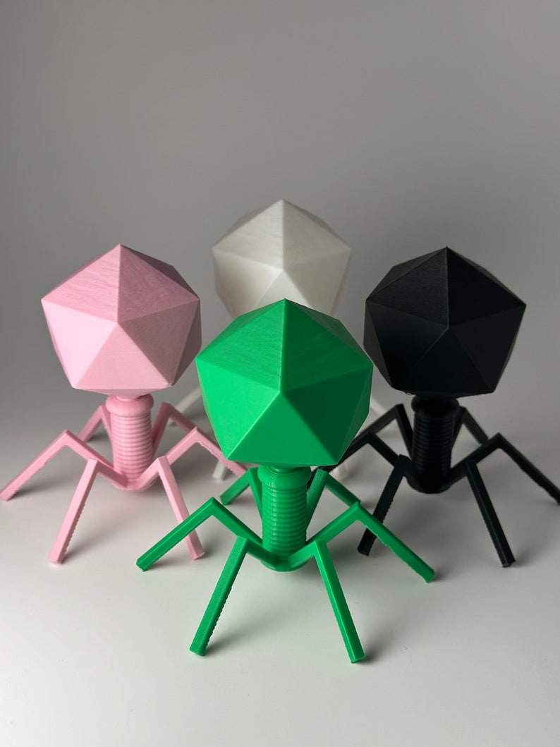 Virus Model, T4 Bacteriophage, Microbiology, Biology, Desktop Toy - Etsy
