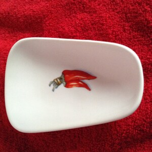 Ceramic Spoon Rest with Chili Pepper Bunch 5 Long and 3 | Etsy