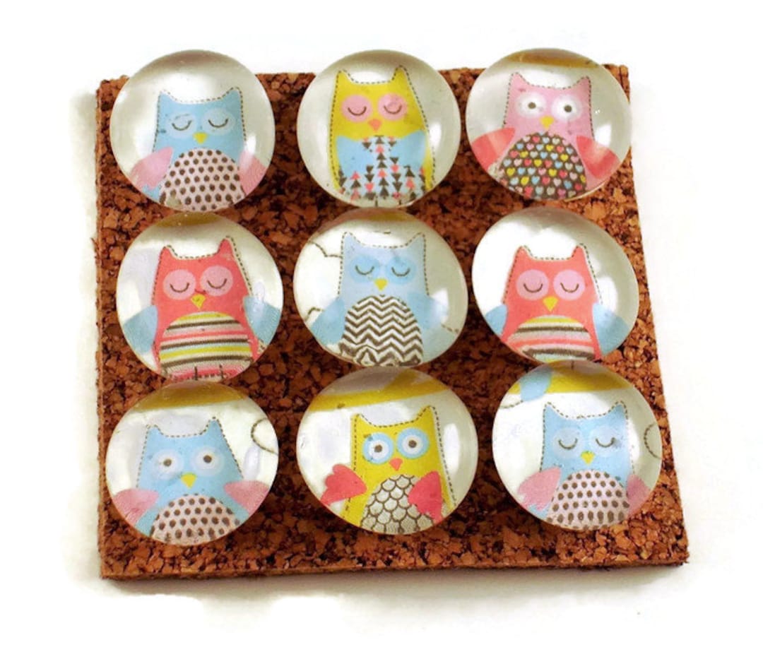 Funky Push Pins Decorative Push Pins Thumb Tacks Cork Board Pins in Owl ...