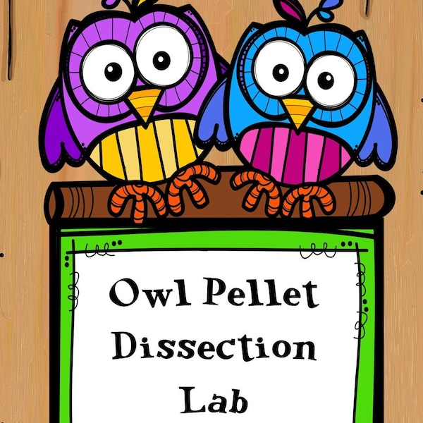 TheElementaryHub - Etsy