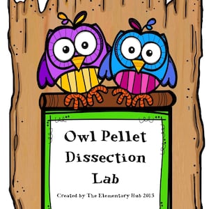 Owl Pellet Dissection Lab - Etsy