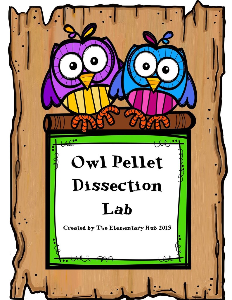 Owl Pellet Dissection Lab - Etsy