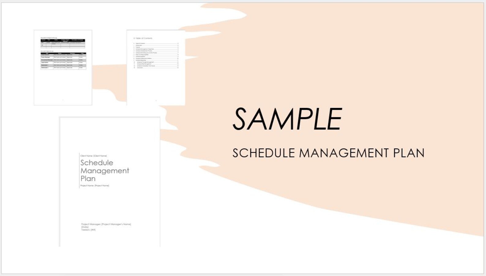 Schedule Management Plan - Etsy