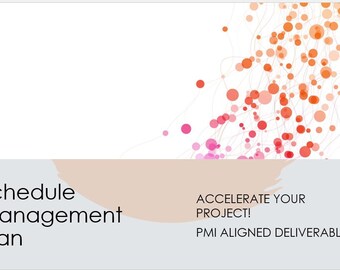 Schedule Management Plan Template, Fully Editable MS Excel, PMP ...