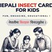 Nepali Rodents and Insects Flashcards, Digital Download, Educational ...