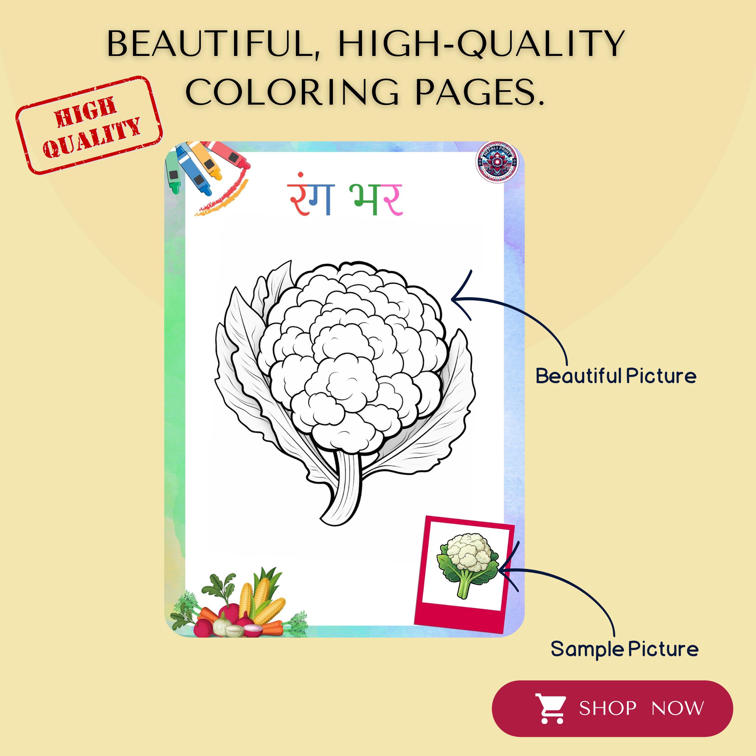 Nepali Kids Coloring Pages: Alphabet, Animals, Fruits (printable) - Etsy
