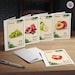 Printed Nepali Fruits Flashcards for Nepali Kids, Nepali Language ...