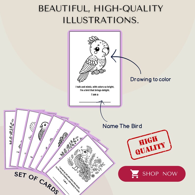 Printable Birds Coloring Book: Kids Learning Activity (digital Download ...