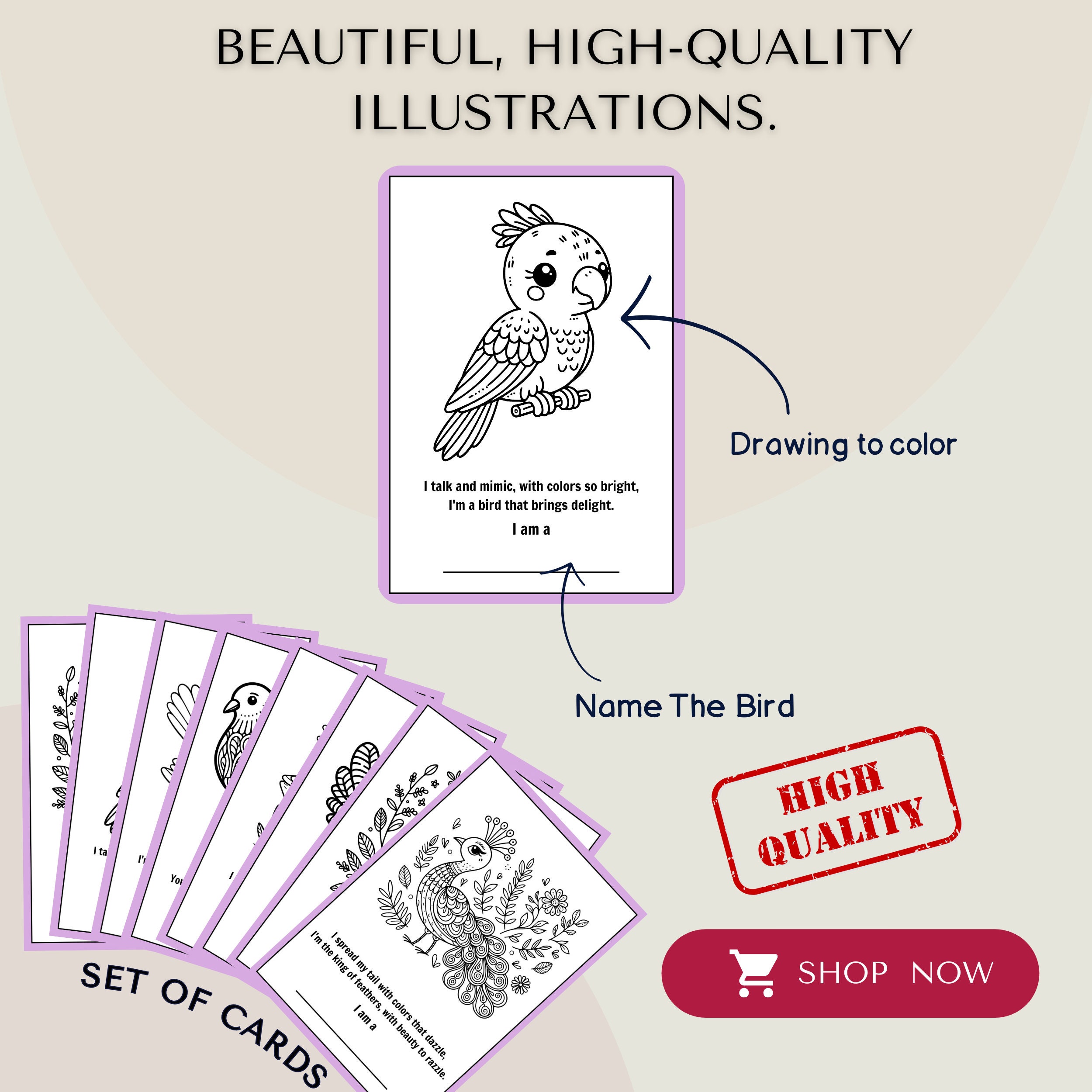 Printable Birds Coloring Book: Kids Learning Activity (digital Download ...