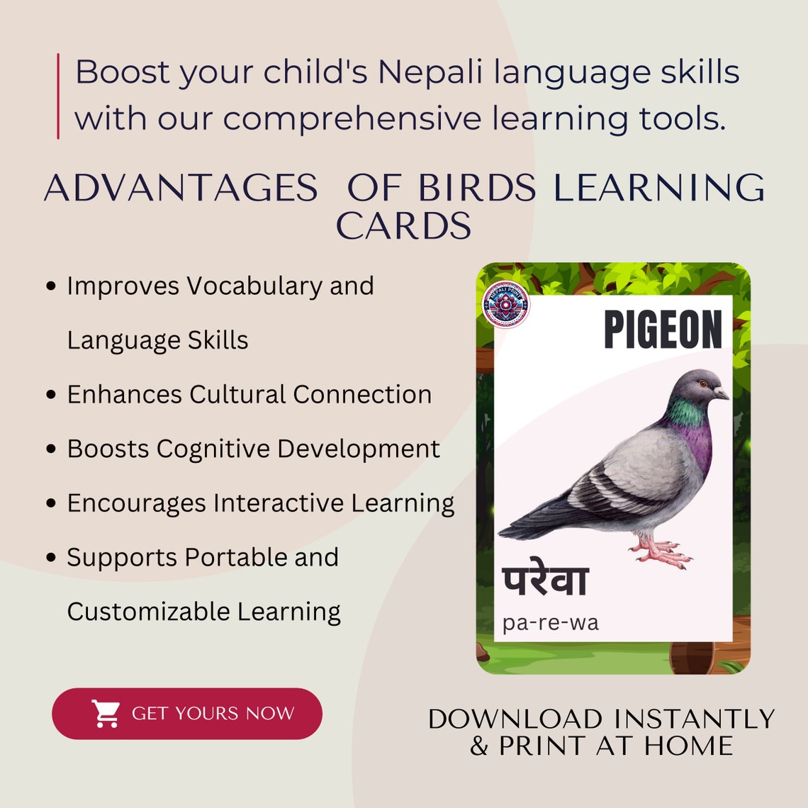 Nepali Birds Flashcards for Kids, Digital Download, Educational ...