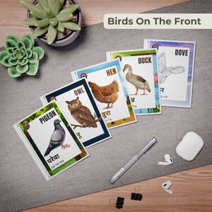 Printed Nepali Birds Flashcard for Kids, Nepali Language Learning ...