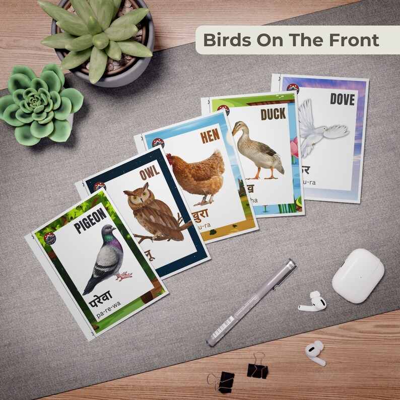 Nepali Birds Flashcards: Bilingual Learning Cards for Kids - Etsy