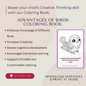 Printable Birds Coloring Book, Kids Learning, Coloring Pages for Kids ...