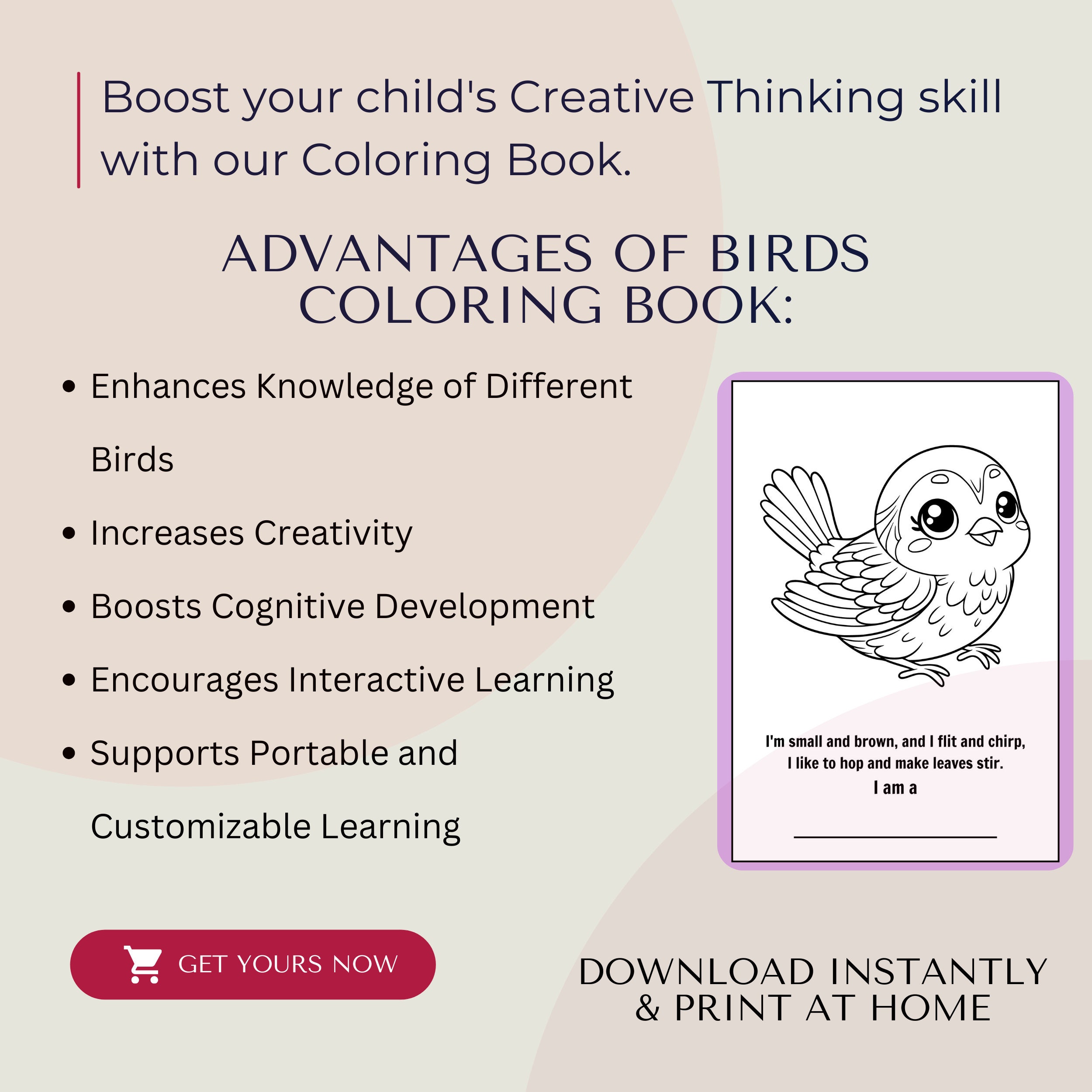 Printable Birds Coloring Book, Kids Learning, Coloring Pages for Kids ...