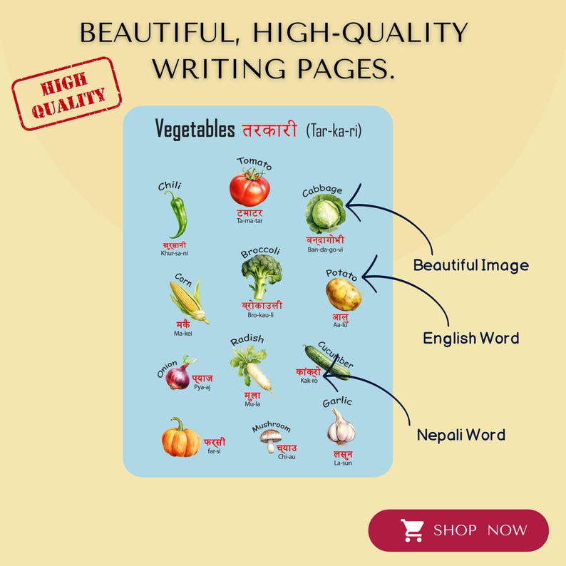 Nepali Kids Learning Posters Bundle: Homeschool Printable (digital ...