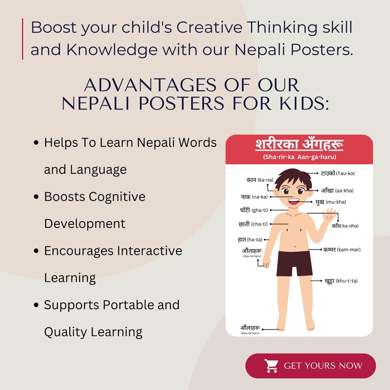 Nepali Kids Learning Posters Bundle: Homeschool Printable (digital ...