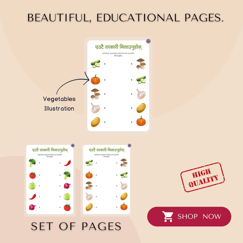 Vegetable Matching Activity: Preschool Learning Worksheet (digital ...
