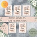 Boho Number Word Form Flashcards Educational 1-20 Cards Learning Games ...