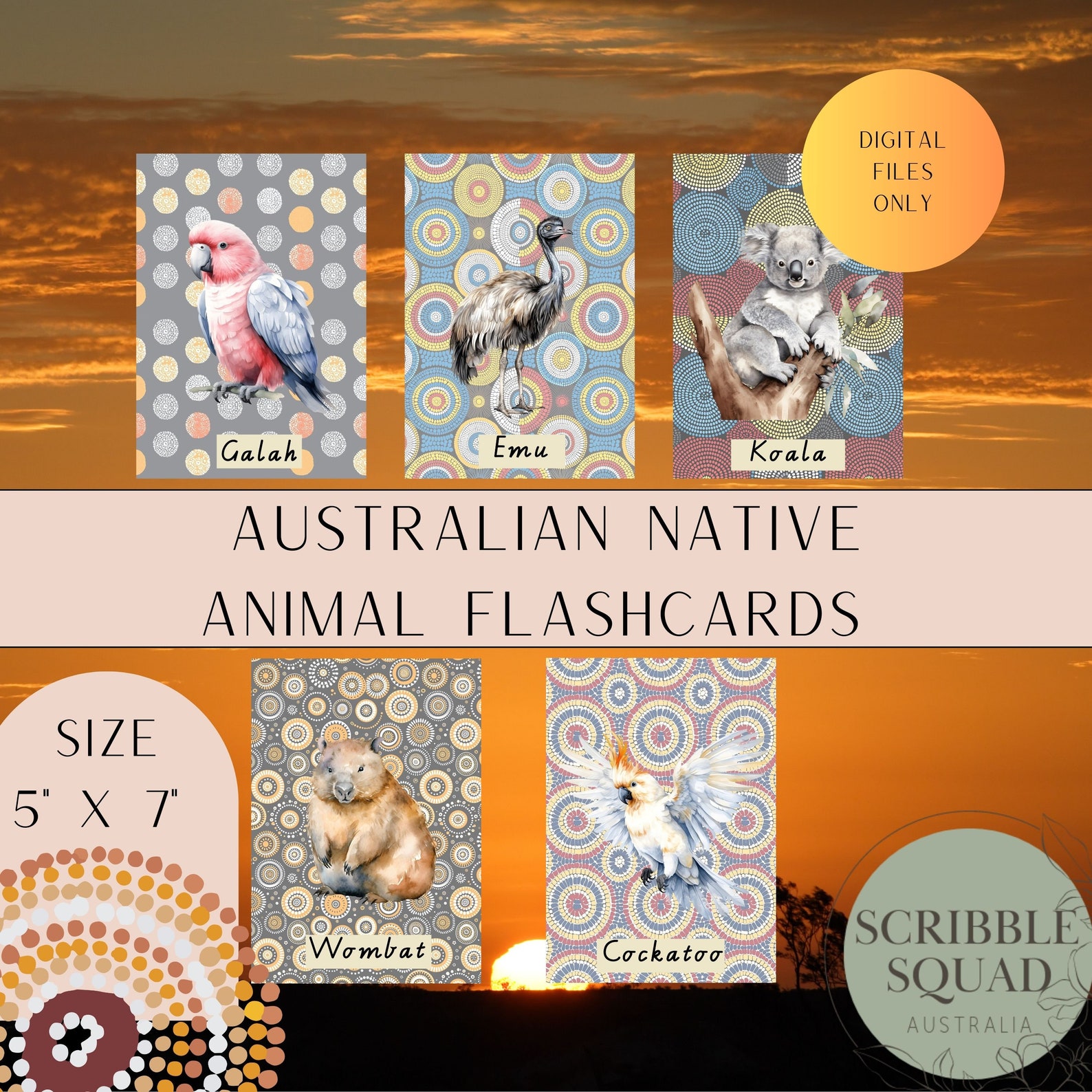 Native Animal Flashcards | Koala | Australian Prints | Indigenous ...